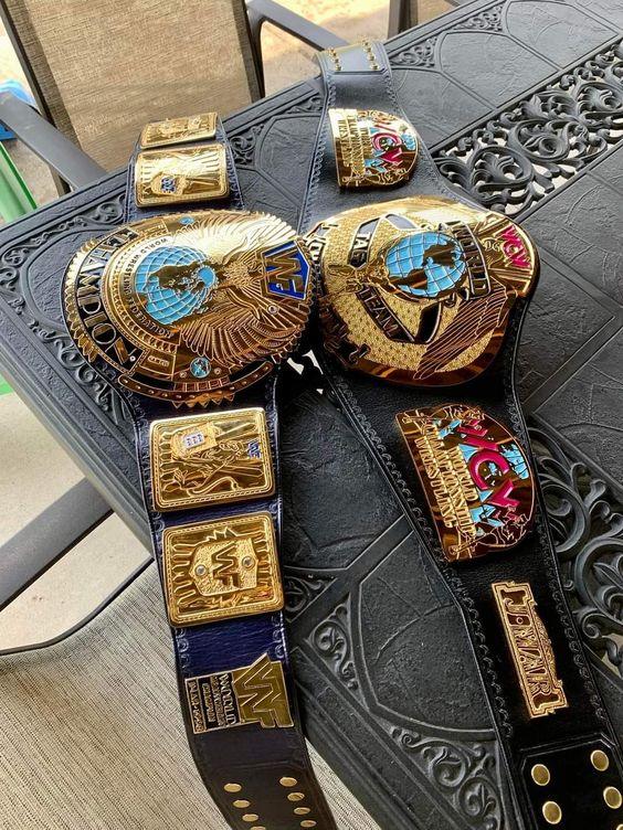 Unveiling the Glory: A Close Look at the ROH Champion - Zees ...